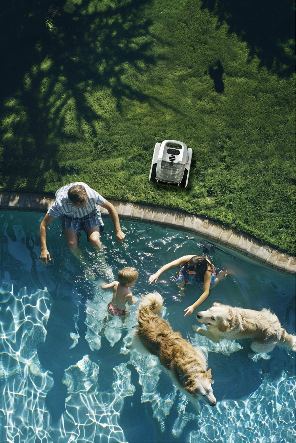 Seauto Global Official Website